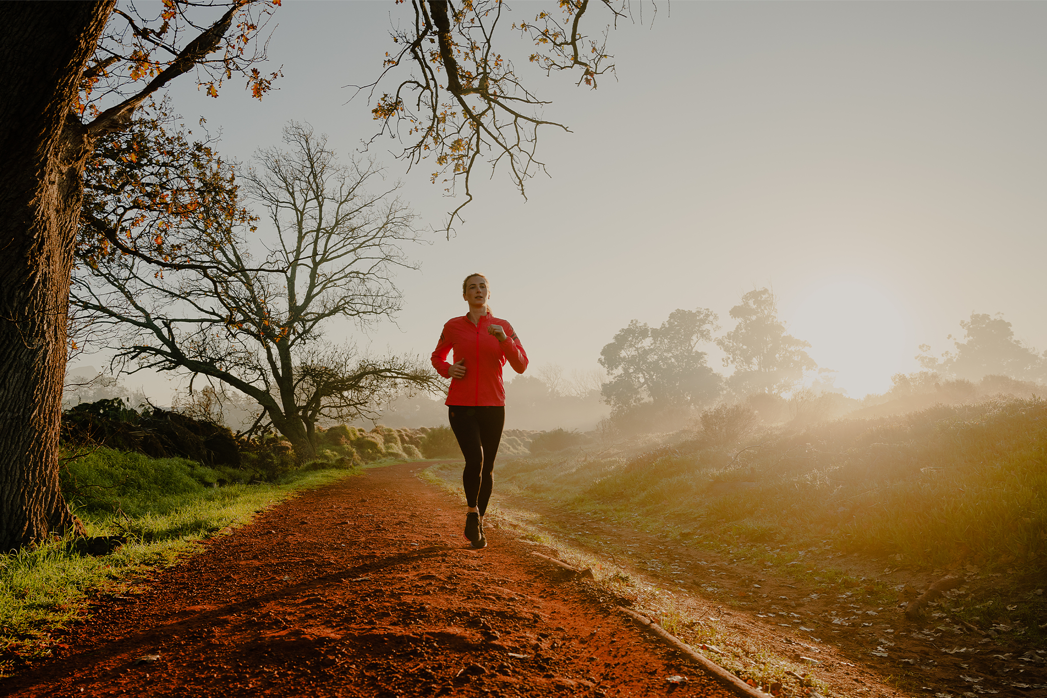 Easy Mini Workouts to Get You Moving Today
